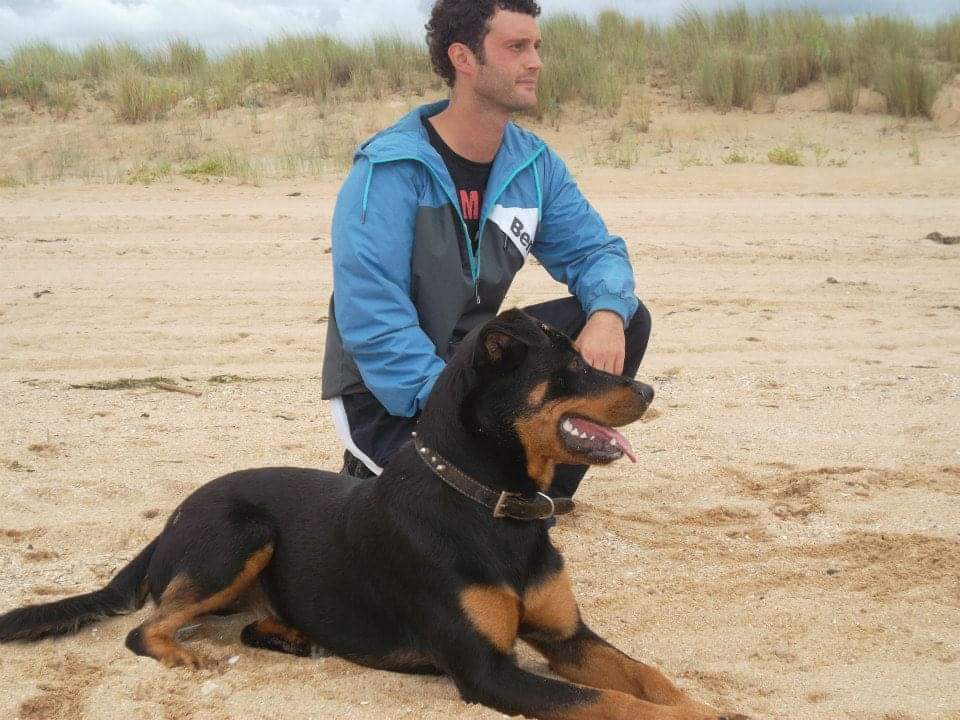 Vínculo en adiestramiento canino