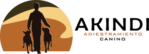 El Beagle. Origen, características y nutrición